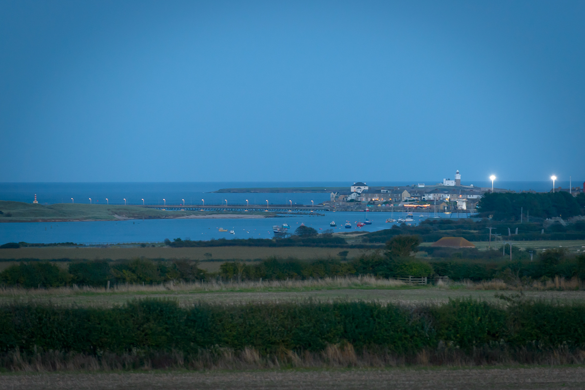 Evening Amble View-1 - Propology